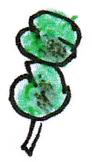 炭焼厨房呼々家草津店【ここや】